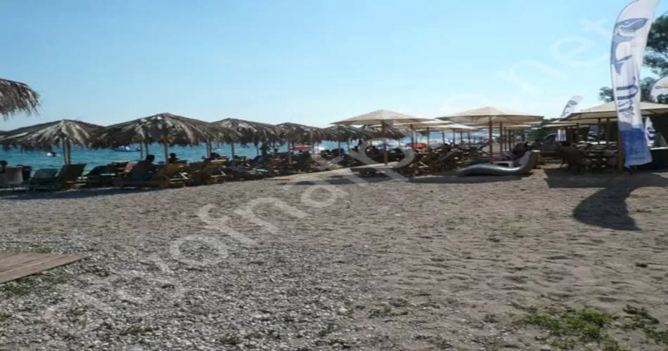 Plaka Beach Drepano | Nafplion - Argolis